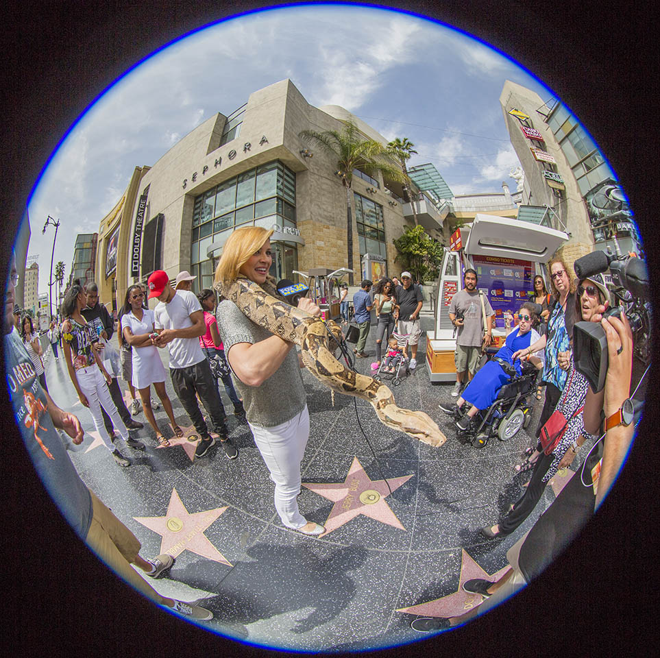 Reporter and Boa ‹ Daily Photo Game