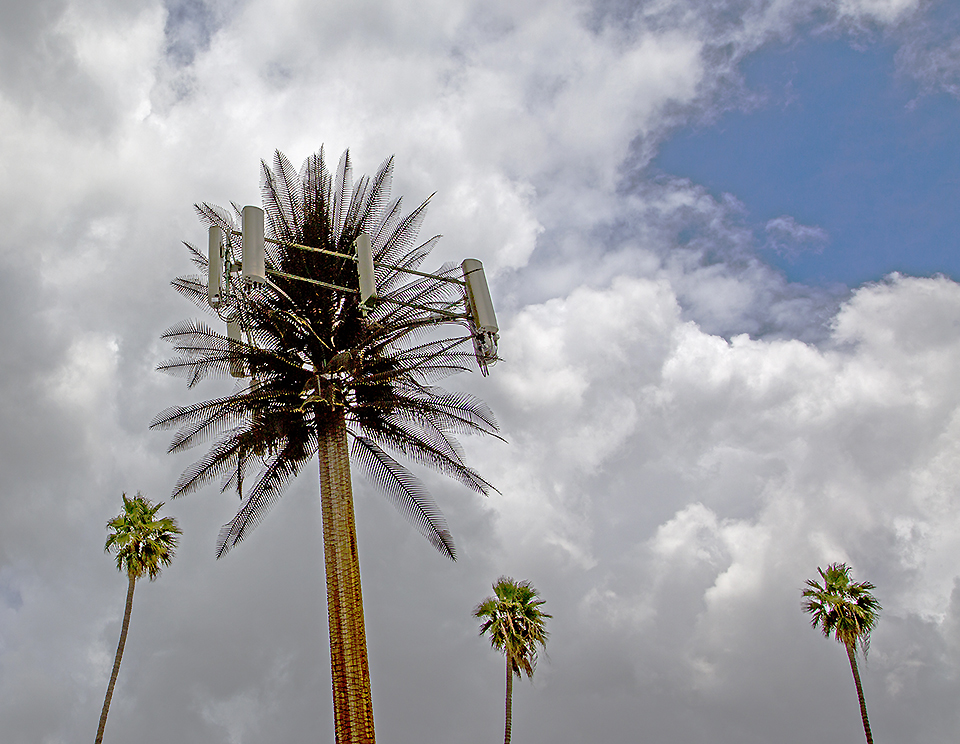 True or False ‹ Daily Photo Game