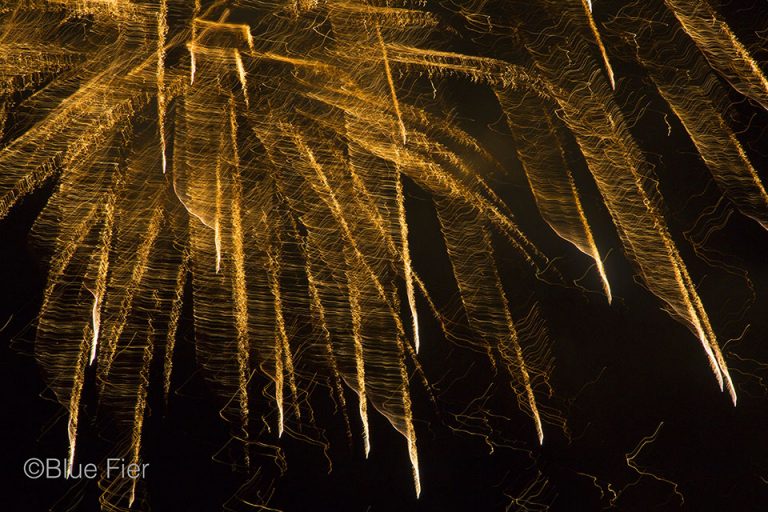 Sky Lights ‹ Daily Photo Game