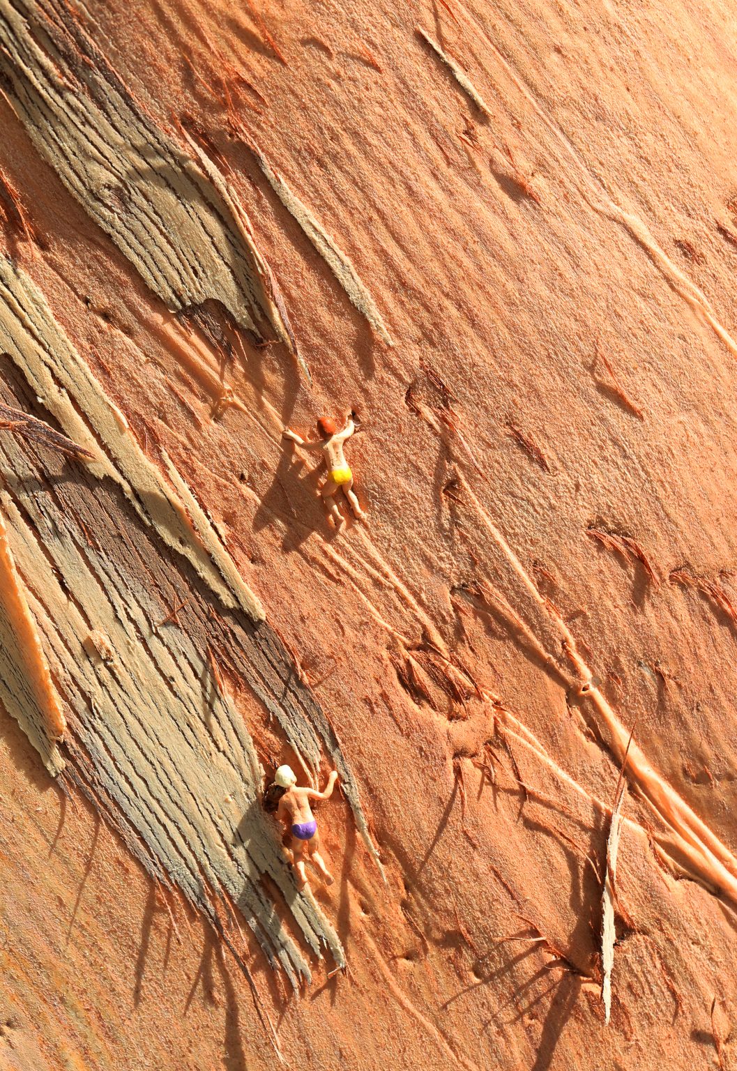 Little Climbers ‹ Daily Photo Game