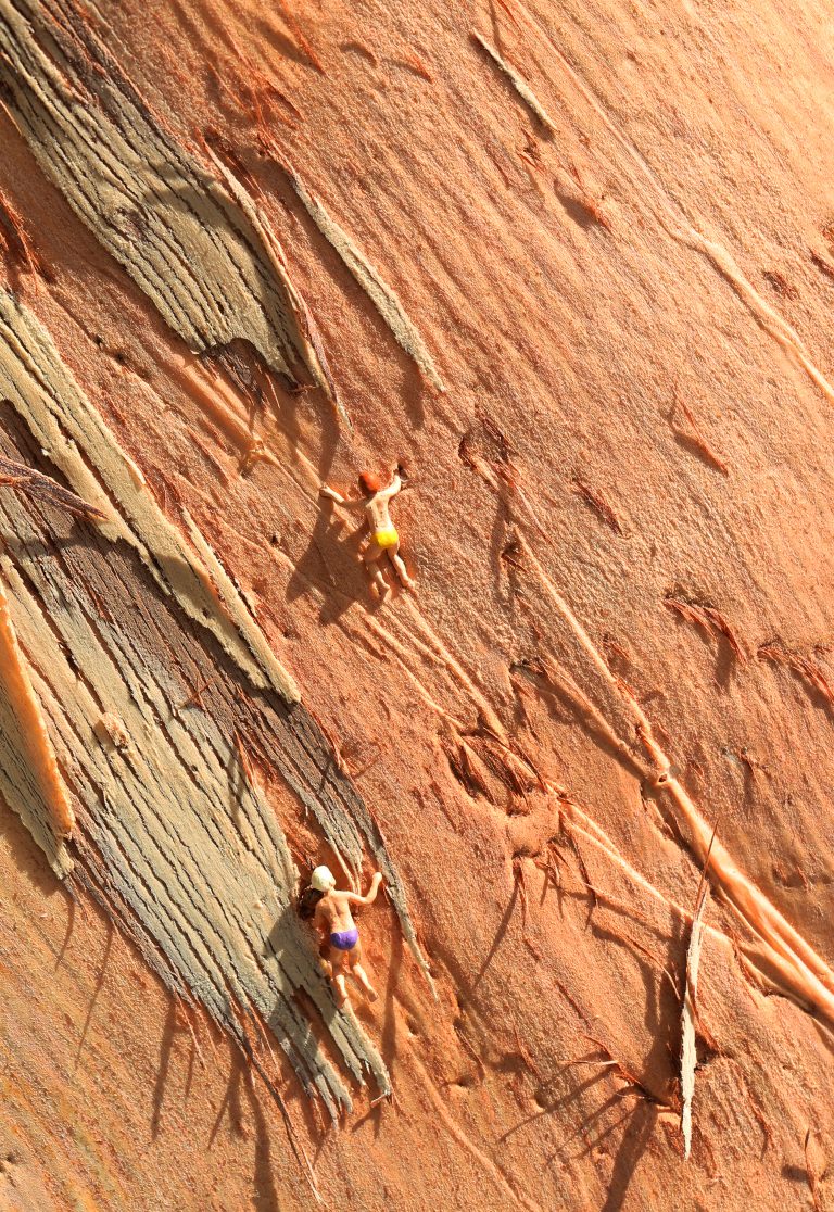 Little Climbers ‹ Daily Photo Game