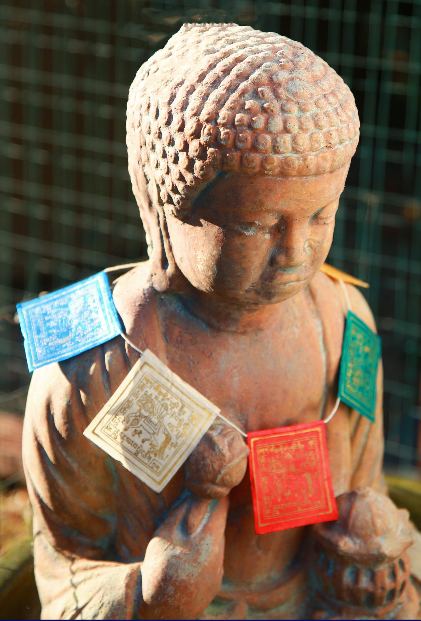 Buddha Boy ‹ Daily Photo Game