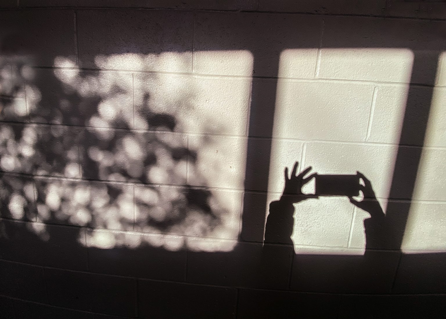 Moving Pictures ‹ Daily Photo Game
